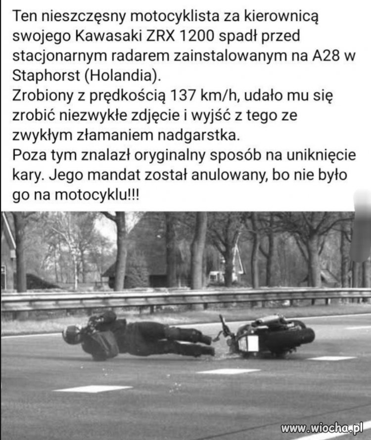Wiocha.pl - Absurdy polskiego internetu: Nasza-Klasa, Facebook, Fotka ...