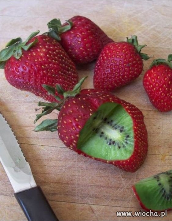 Wiocha.pl - Absurdy polskiego internetu: Nasza-Klasa, Facebook, Fotka ...