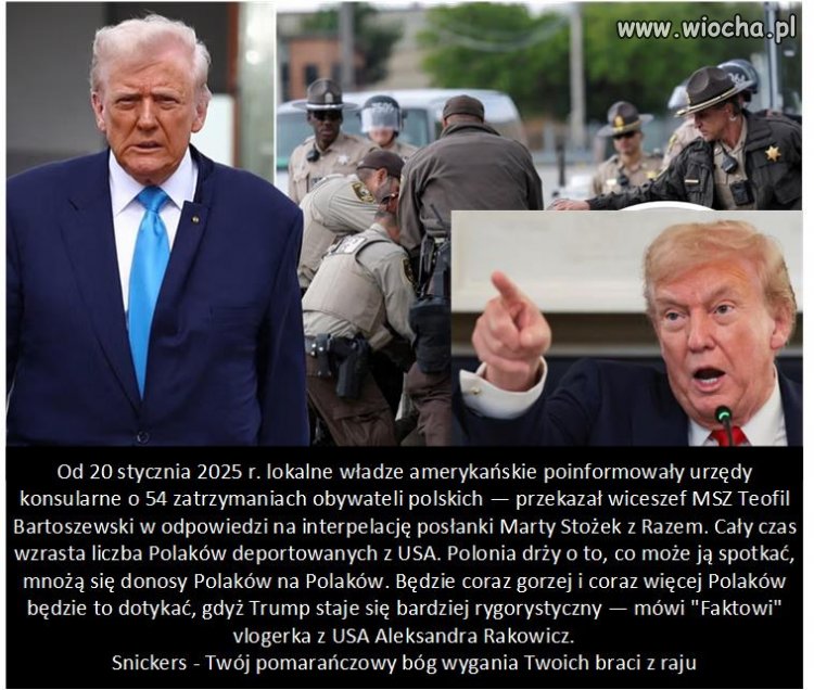 Niech żyje Donald Trump! - wiocha.pl absurd 1851007