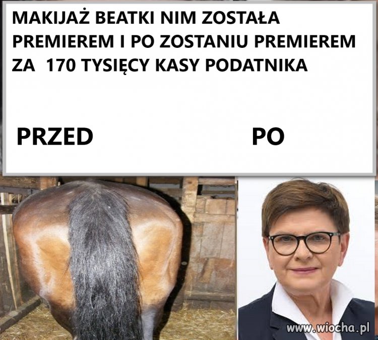 Wiocha.pl - Absurdy polskiego internetu: Nasza-Klasa, Facebook, Fotka ...