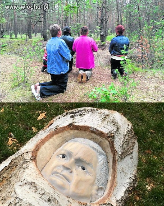 Wiocha.pl - Absurdy polskiego internetu: Nasza-Klasa, Facebook, Fotka ...