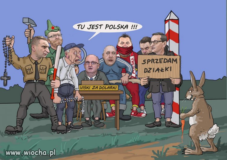 Wiocha.pl - Absurdy polskiego internetu: Nasza-Klasa, Facebook, Fotka ...