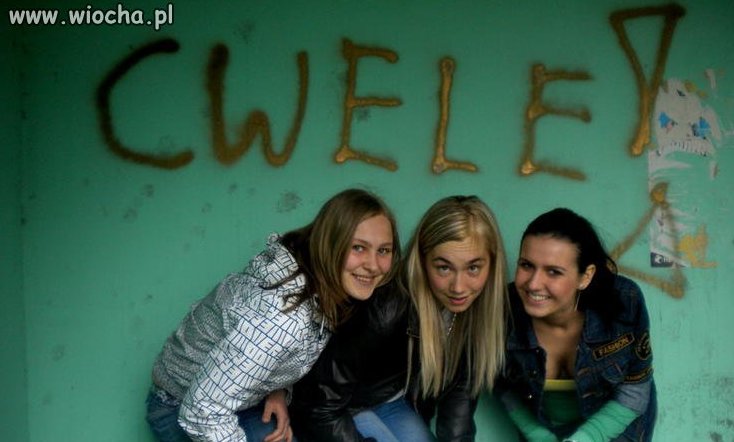 Get Cwel - wiocha.pl absurd 119722