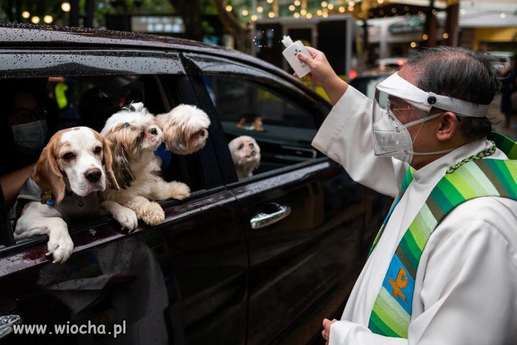 Wiocha.pl - Absurdy polskiego internetu: Nasza-Klasa, Facebook, Fotka ...