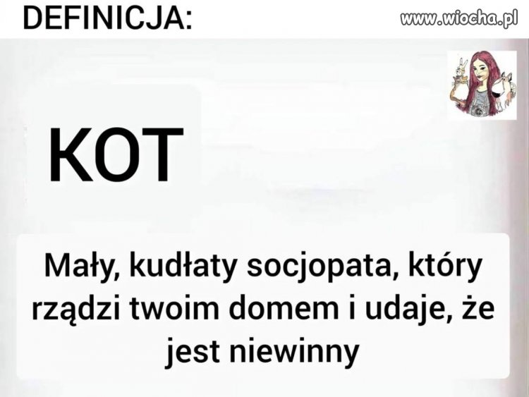 Wiocha.pl - Absurdy polskiego internetu: Nasza-Klasa, Facebook, Fotka ...