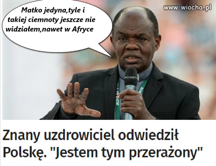 Bashobora - wiocha.pl absurd 1765062