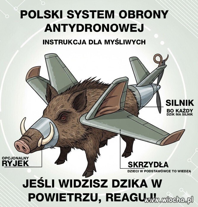 Wiocha.pl - Absurdy polskiego internetu: Nasza-Klasa, Facebook, Fotka ...