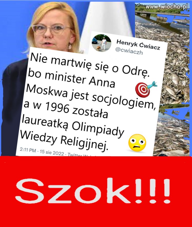 Wiocha.pl - Absurdy polskiego internetu: Nasza-Klasa, Facebook, Fotka ...