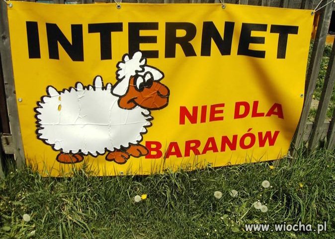 A tak mi się czasami wydaje - wiocha.pl absurd 1850959