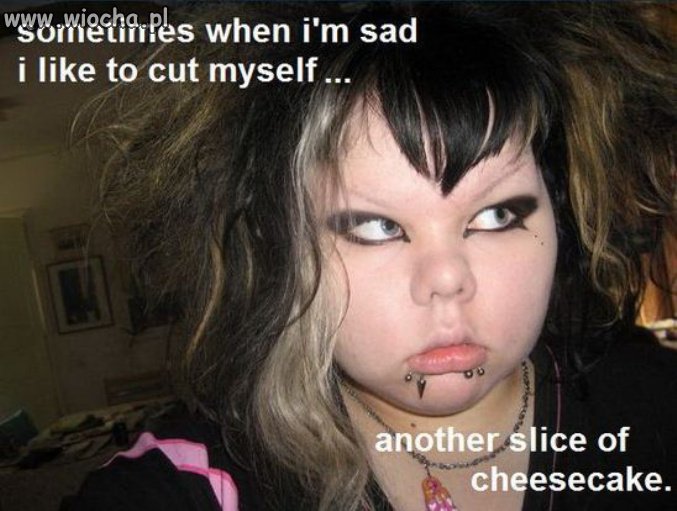 Wiocha.pl - Absurdy polskiego internetu: Nasza-Klasa, Facebook, Fotka ...