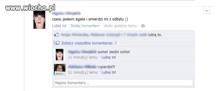 Wiocha na facebooku - wiocha.pl absurd 453728