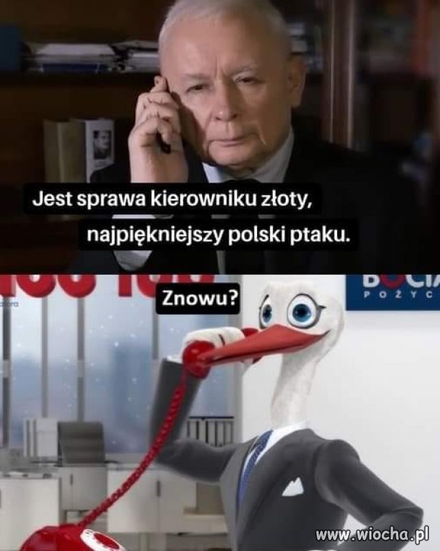 Wiocha.pl - Absurdy polskiego internetu: Nasza-Klasa, Facebook, Fotka ...