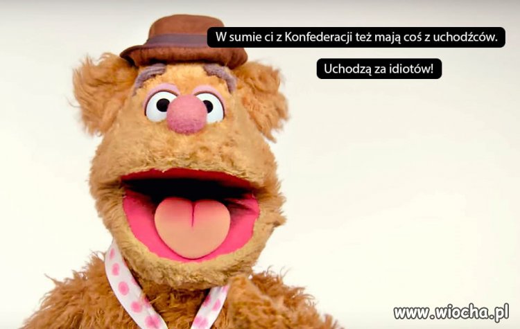 Wiocha.pl - Absurdy polskiego internetu: Nasza-Klasa, Facebook, Fotka ...