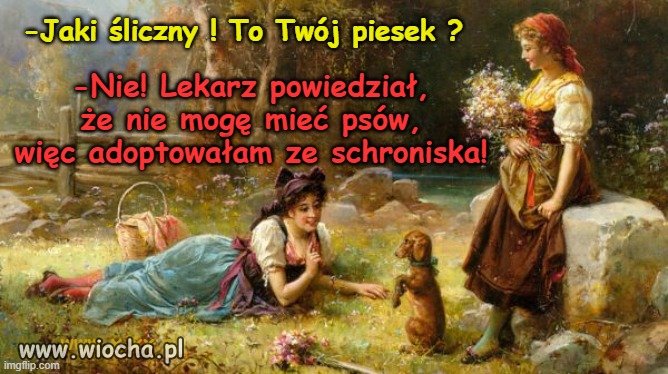 To w sumie najlepsza metoda - wiocha.pl absurd 1762652