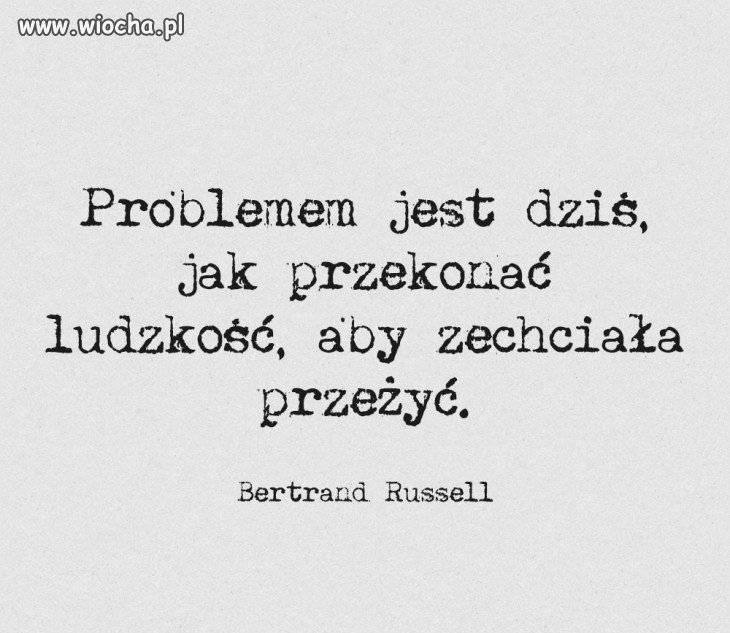 Wiocha.pl - Absurdy polskiego internetu: Nasza-Klasa, Facebook, Fotka ...