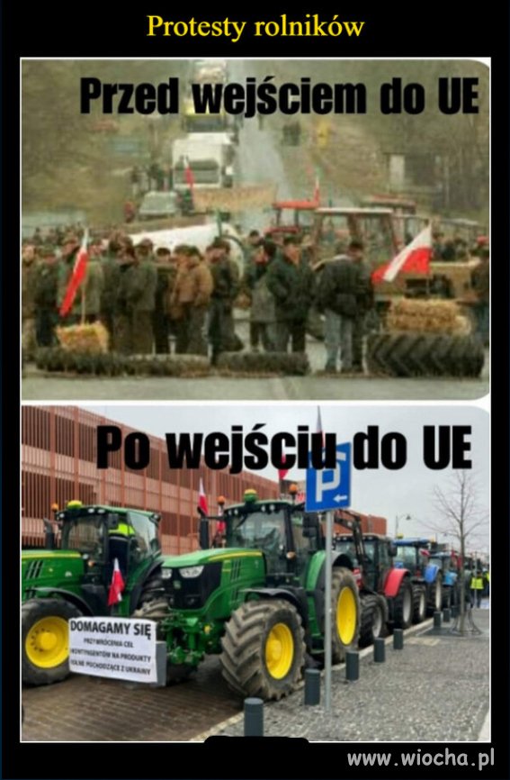 Wiocha.pl - Absurdy polskiego internetu: Nasza-Klasa, Facebook, Fotka ...