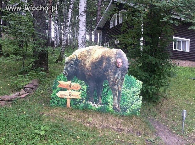 Wyszukiwanie: "fotka" - Strona 16 - Wiocha.pl