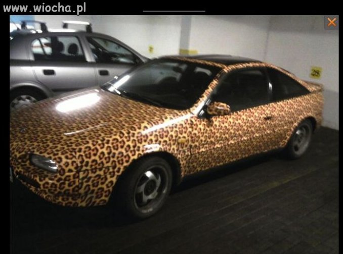 Polski tuning - wiocha.pl absurd 294081