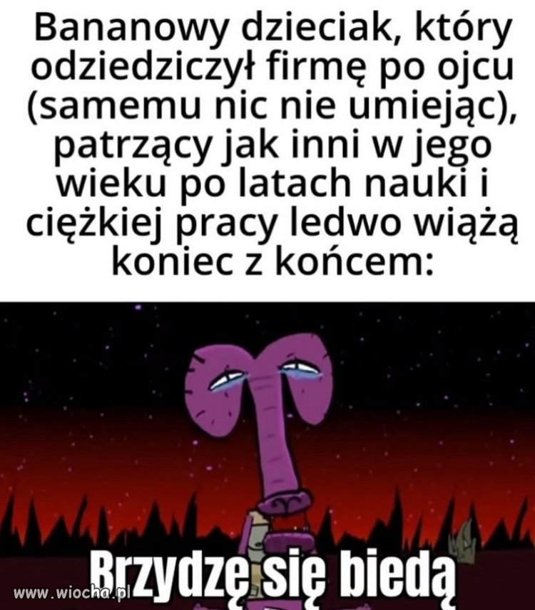 Ej, wy tak serio? - wiocha.pl absurd 1850615