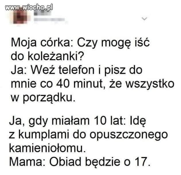 Potwierdzam - wiocha.pl absurd 1737133