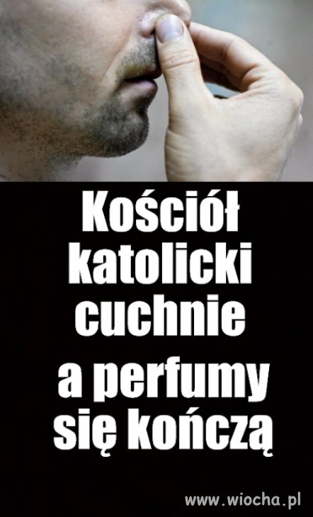 Tak to widzę - wiocha.pl absurd 1739978