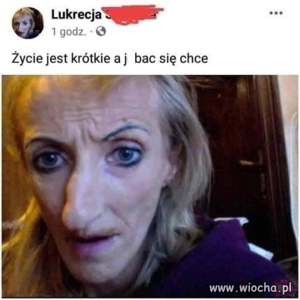 No dalej panowie - wiocha.pl absurd 1817147