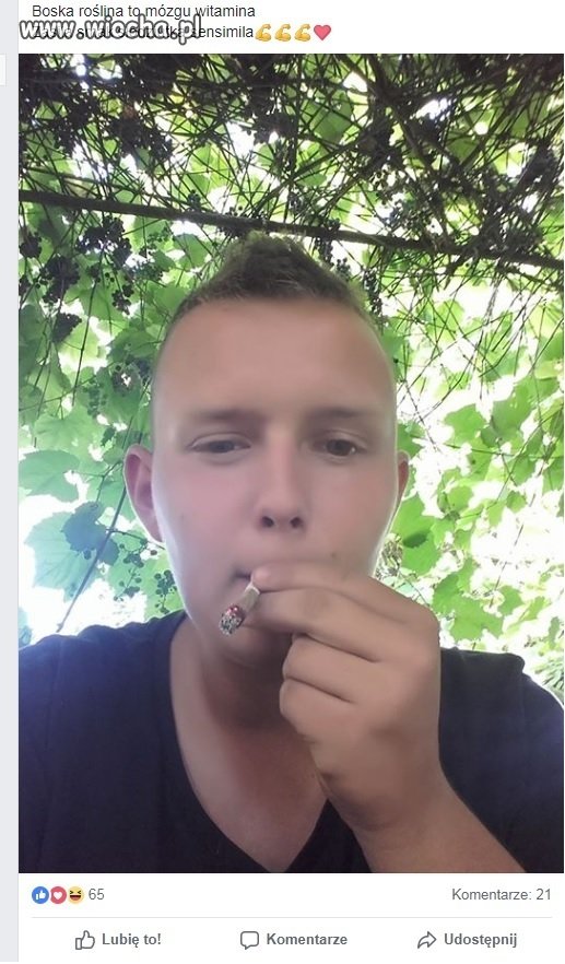 Wiocha.pl - Absurdy polskiego internetu: Nasza-Klasa, Facebook, Fotka ...