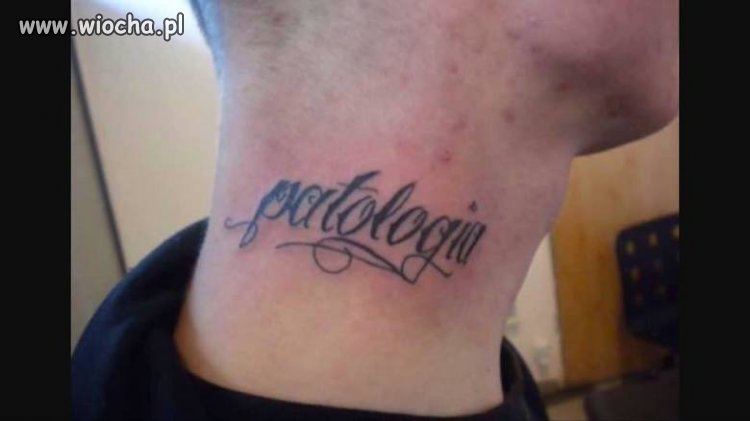 Brawo ty - wiocha.pl absurd 1574521