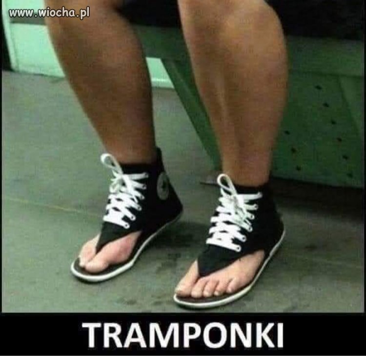 Wiocha.pl - Absurdy polskiego internetu: Nasza-Klasa, Facebook, Fotka ...