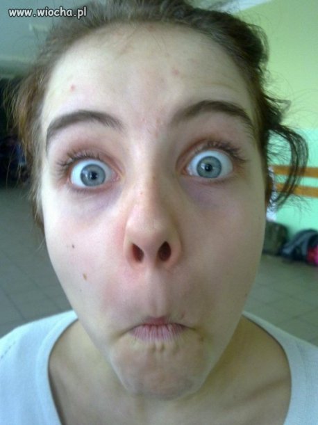 ''Co ja pacze''? - wiocha.pl absurd 511813