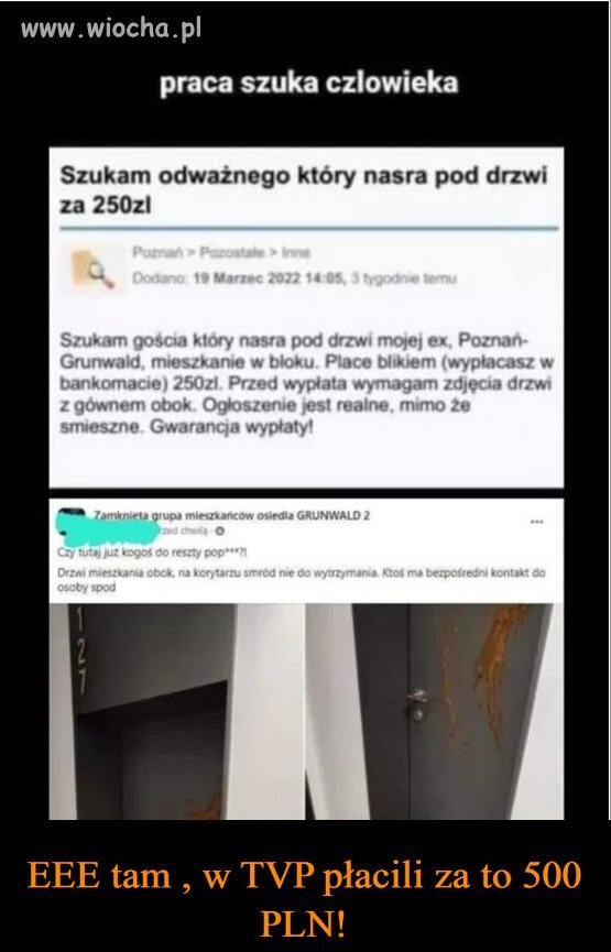 W TVP za sranie na kogoś publicznie - wiocha.pl absurd 1784868