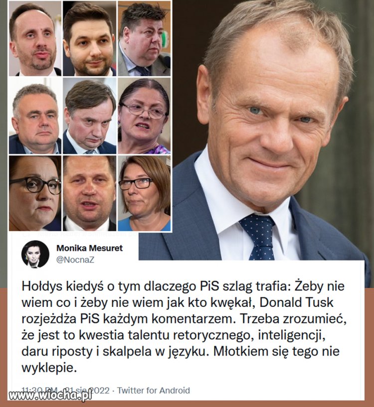 Młotkiem się tego nie wyklepie - wiocha.pl absurd 1729620