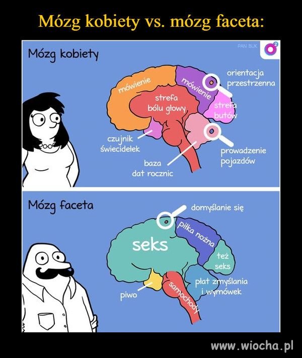 Wiocha.pl - Absurdy polskiego internetu: Nasza-Klasa, Facebook, Fotka ...