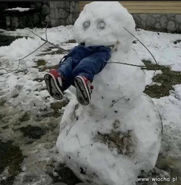 Nigdy więcej nie - wiocha.pl absurd 1816665