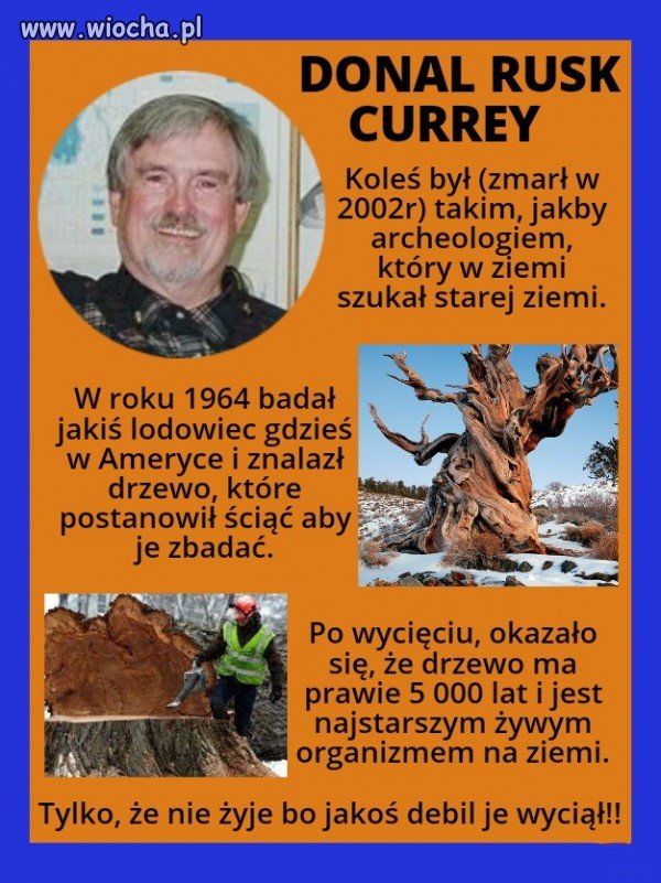 Krótkie ciekawostki - wiocha.pl absurd 1638809