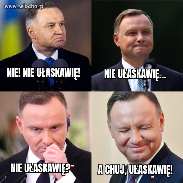 Wiocha.pl - Absurdy polskiego internetu: Nasza-Klasa, Facebook, Fotka ...