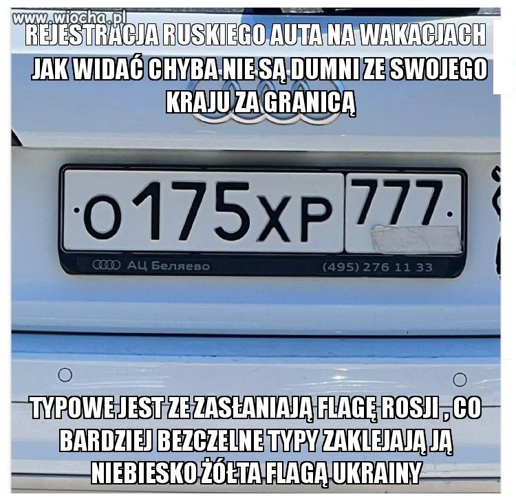 Wiocha.pl - Absurdy polskiego internetu: Nasza-Klasa, Facebook, Fotka ...