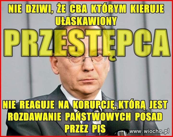 Jak pokazał czas, co drugi to przestępca, jak nie więcej - wiocha.pl ...