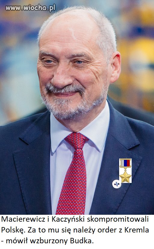 Antoni - wiocha.pl absurd 1740343