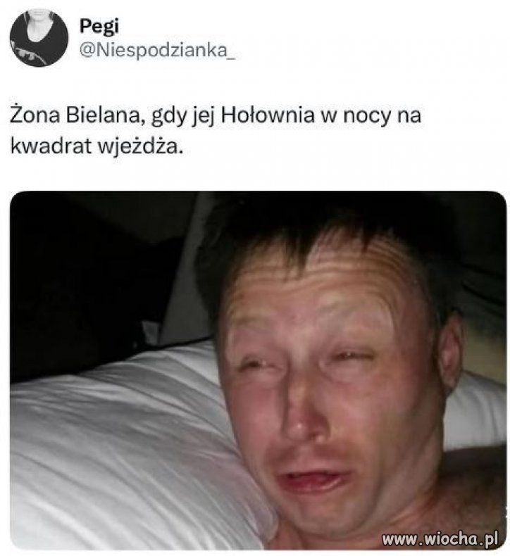 Wiocha.pl - Absurdy polskiego internetu: Nasza-Klasa, Facebook, Fotka ...