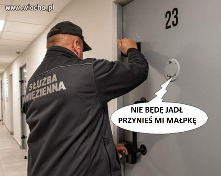 Na kacu nie ma apetytu - wiocha.pl absurd 1782344