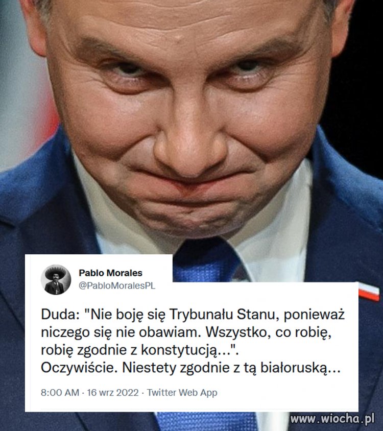 Humor go wciąż nie opuszcza - wiocha.pl absurd 1731810