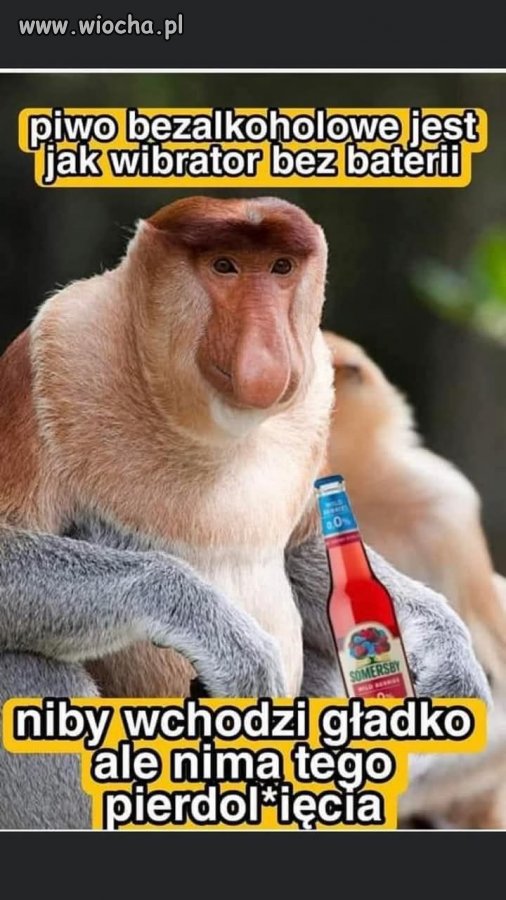 Wiocha.pl - Absurdy polskiego internetu: Nasza-Klasa, Facebook, Fotka ...