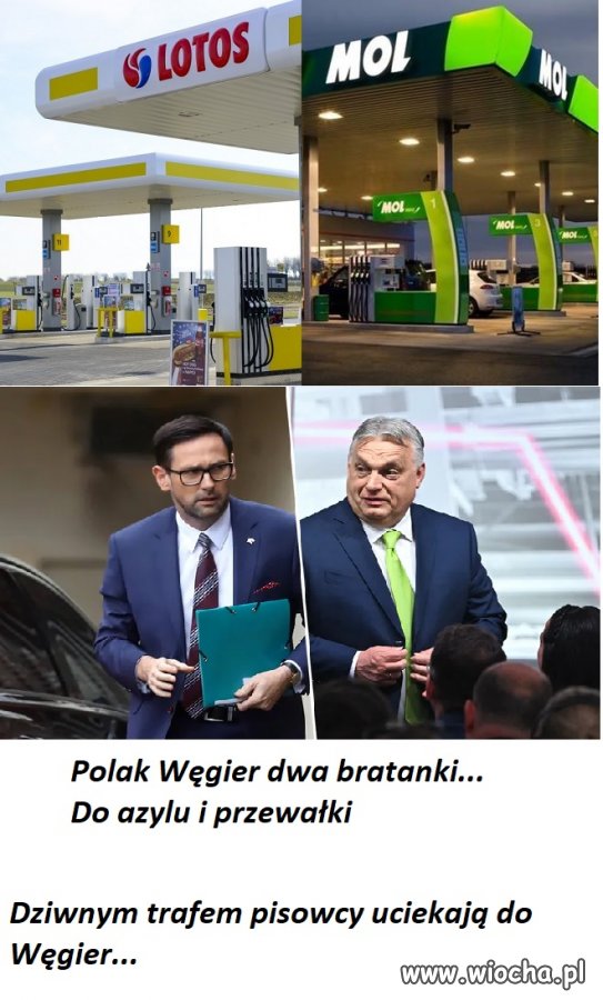 Wiocha.pl - Absurdy polskiego internetu: Nasza-Klasa, Facebook, Fotka ...