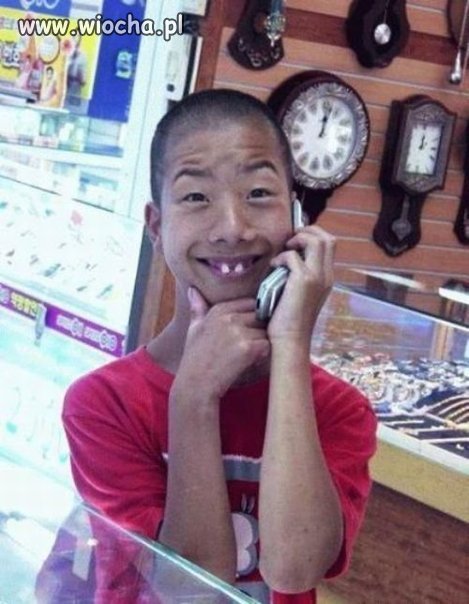 Kitajec - wiocha.pl absurd 350316