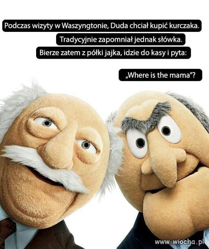 Wiocha.pl - Absurdy polskiego internetu: Nasza-Klasa, Facebook, Fotka ...