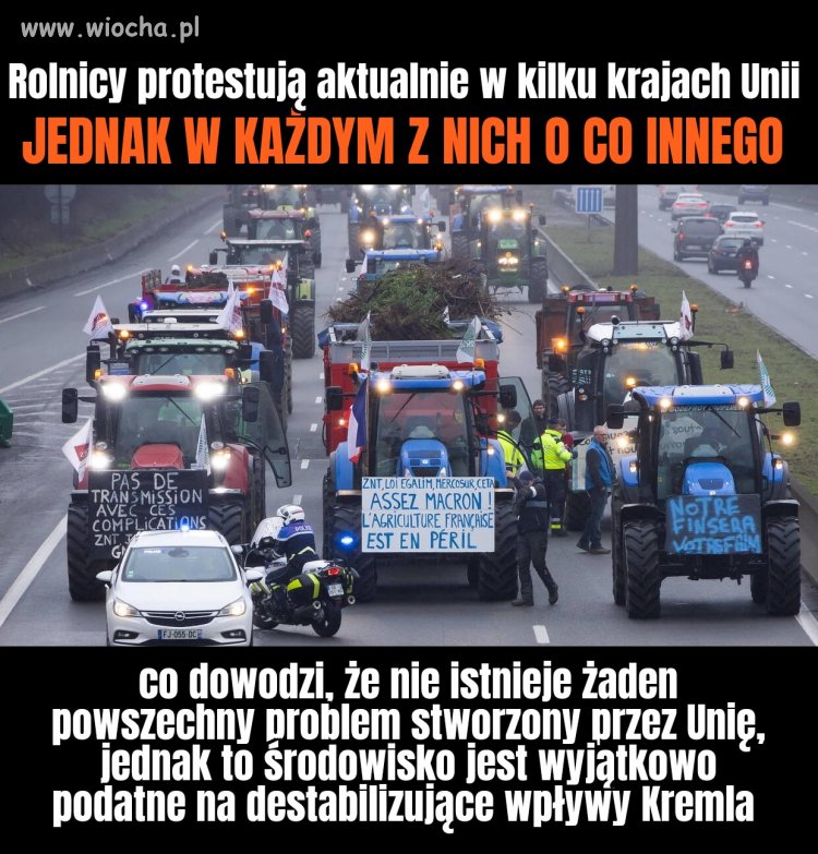 Idealny materiał do wywołania destabilizacji - wiocha.pl absurd 1785878