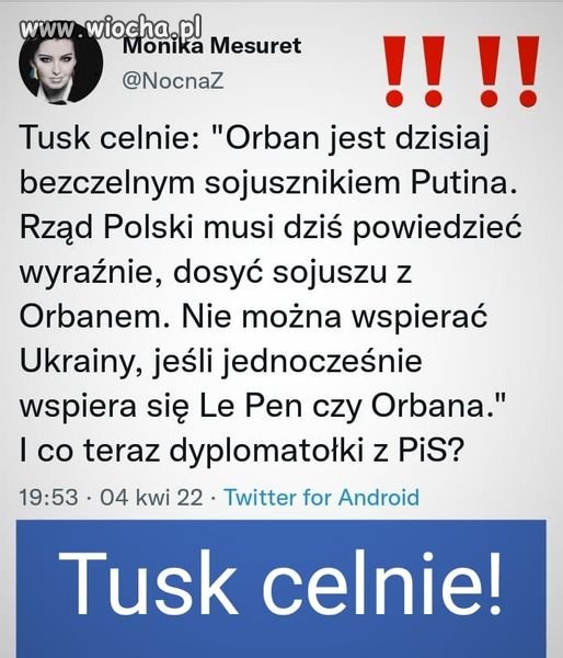 W sumie racja - wiocha.pl absurd 1716178