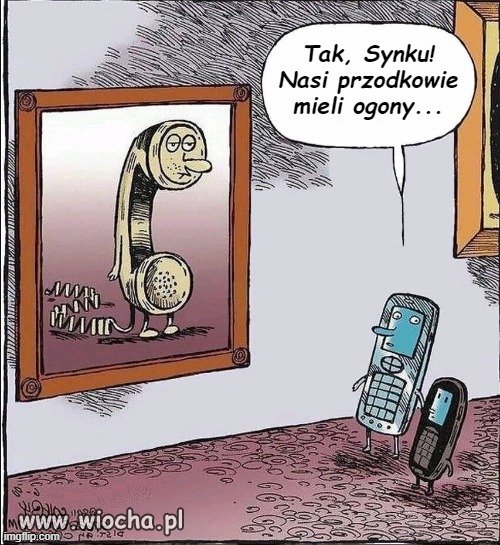 Wiocha.pl - Absurdy polskiego internetu: Nasza-Klasa, Facebook, Fotka ...