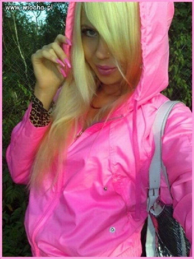 Róż Blond Pantera Wiocha Pl Absurd 690883